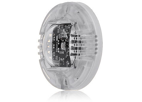 Anolis – Archetype Lighting